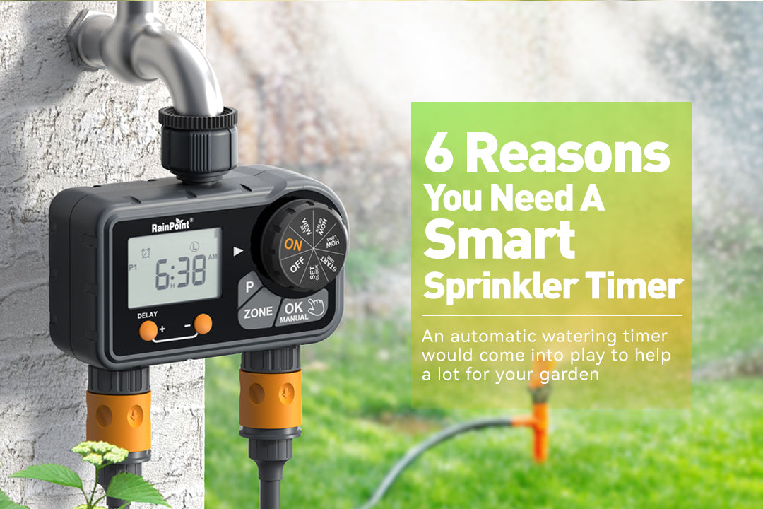 6 Reasons You Need A Smart Sprinkler Timer – RainPoint