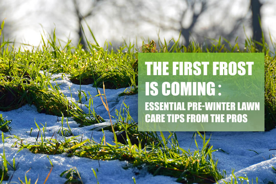 The First Frost is Coming: Essential Pre-Winter Lawn Care Tips from th ...