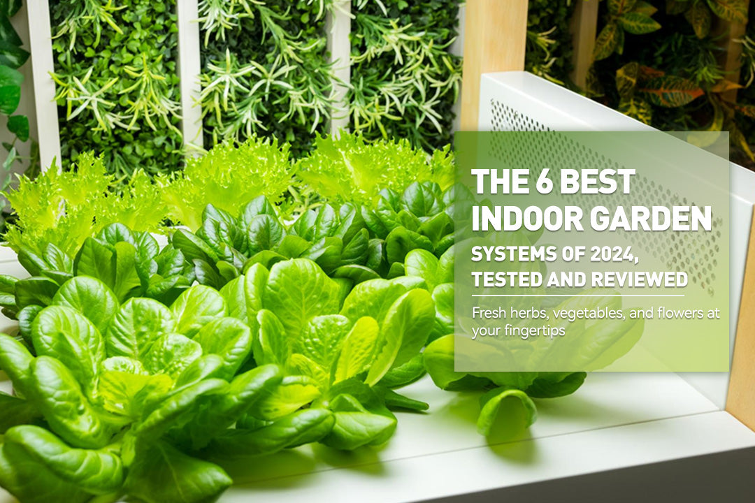 The 6 Best Indoor Garden Systems of 2024, Tested and Reviewed ...