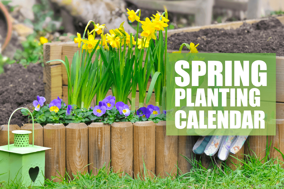 Spring Planting Calendar – RainPoint Irrigation