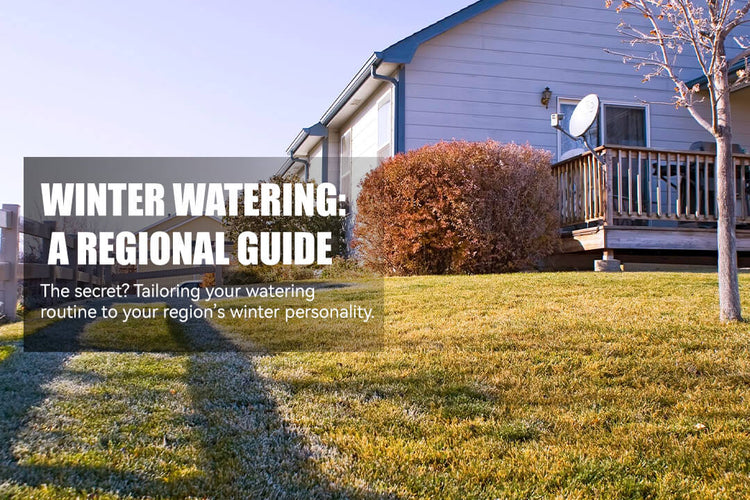 Don't Let Winter Kill Your Plants: The Ultimate Guide to Safe Cold ...