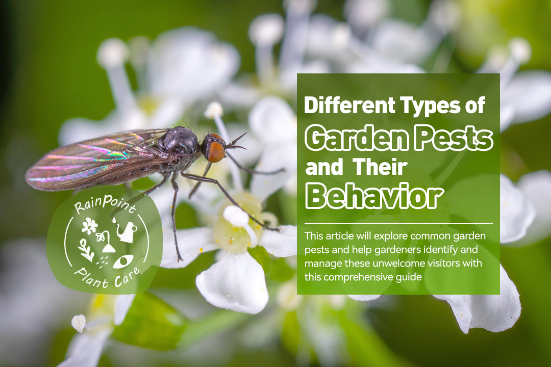 Different Types of Garden Pests and Their Behavior – RainPoint