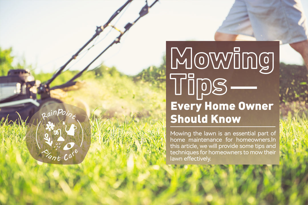Mowing Tips Every Home Owner Should Know – RainPoint