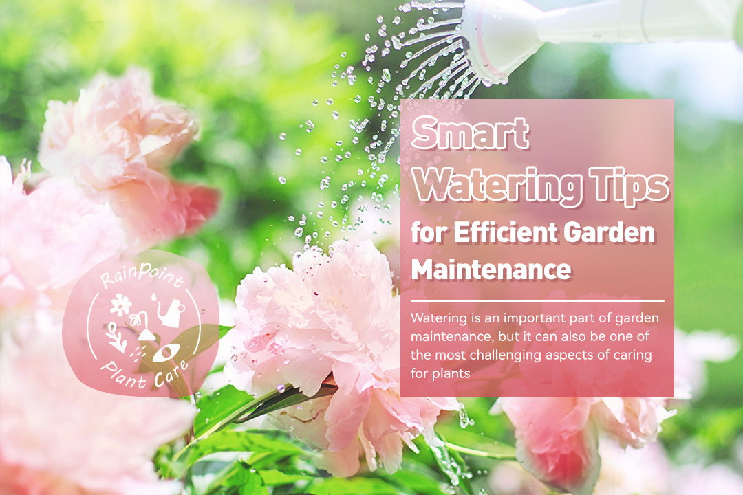 Smart Watering Tips for Efficient Garden Maintenance – RainPoint Irrigation