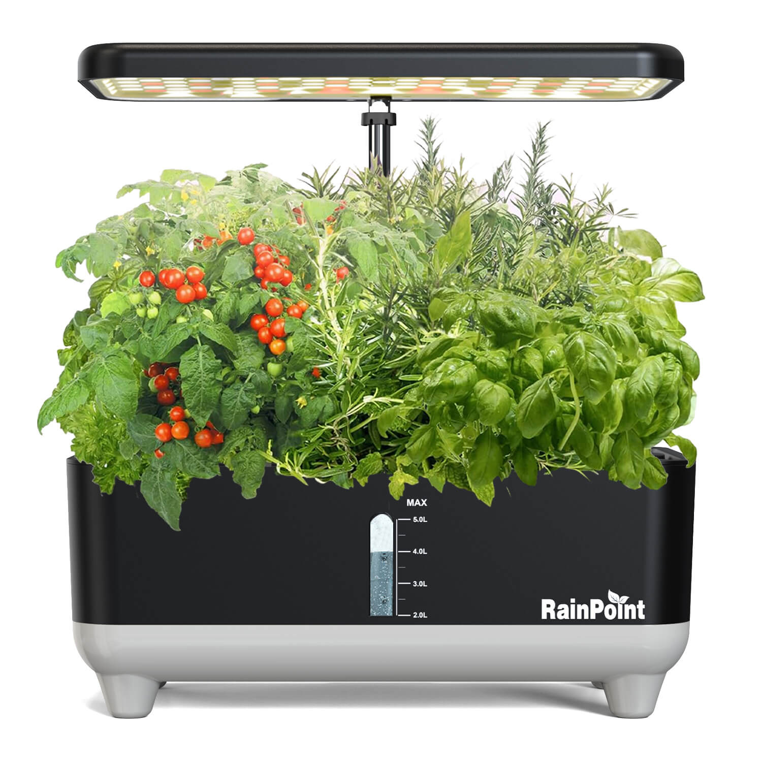 Hydroponics Growing System – RainPoint