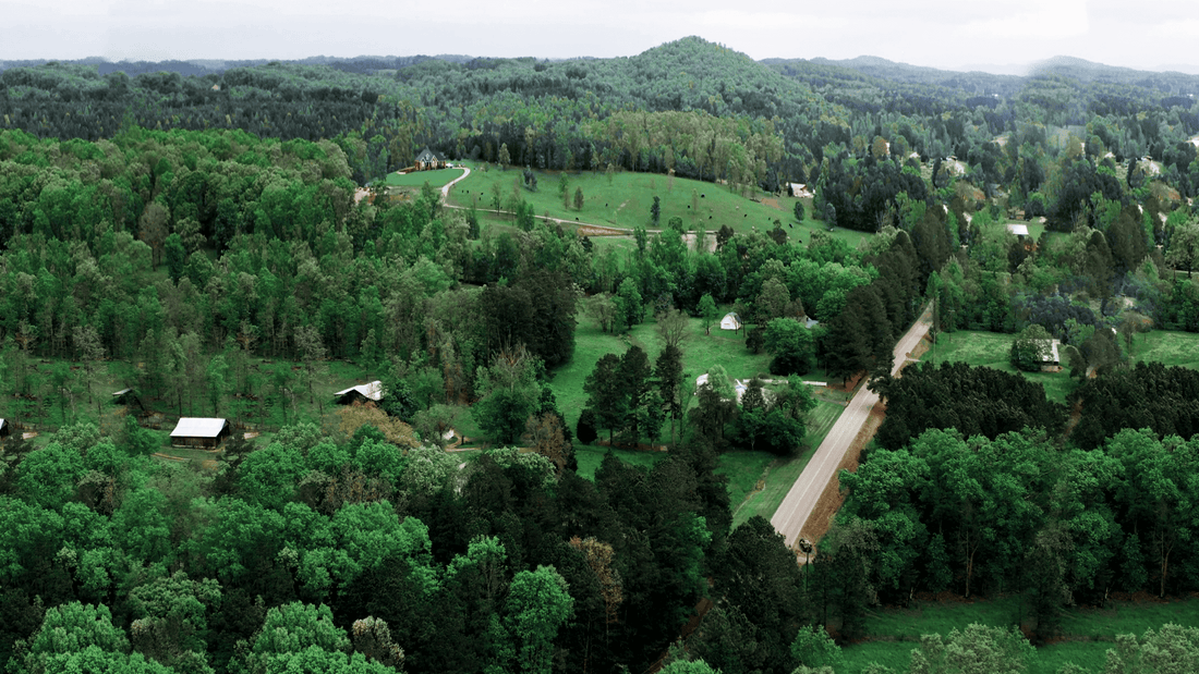 Smart Watering, Sprinkler & Drip Systems – RainPoint Irrigation